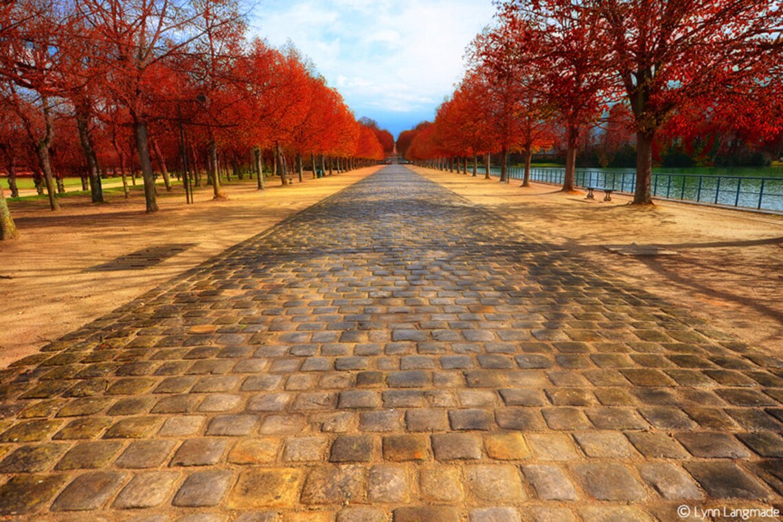 Landscape Photography Red Autumn Leaves and Yellow Path Red - Etsy