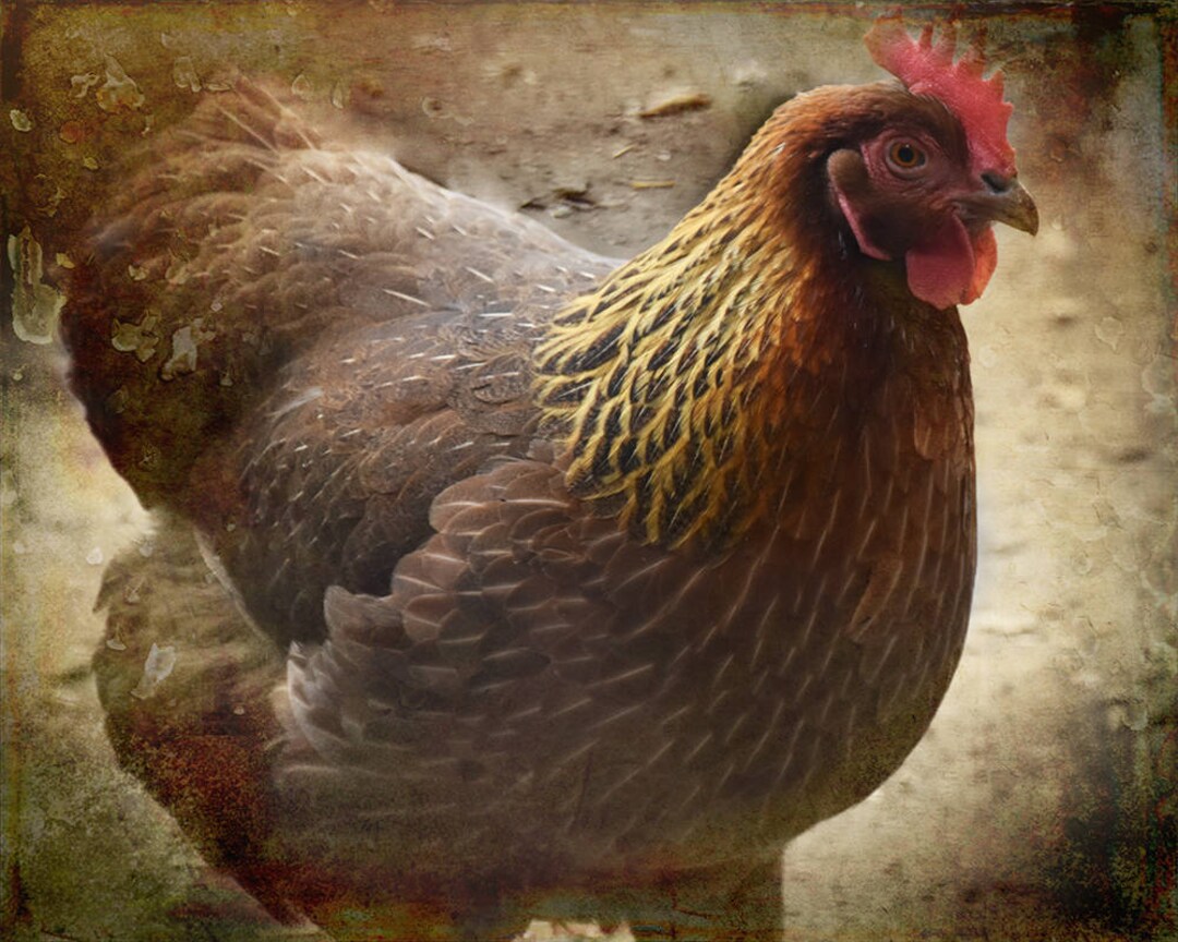 This item is unavailable - Etsy