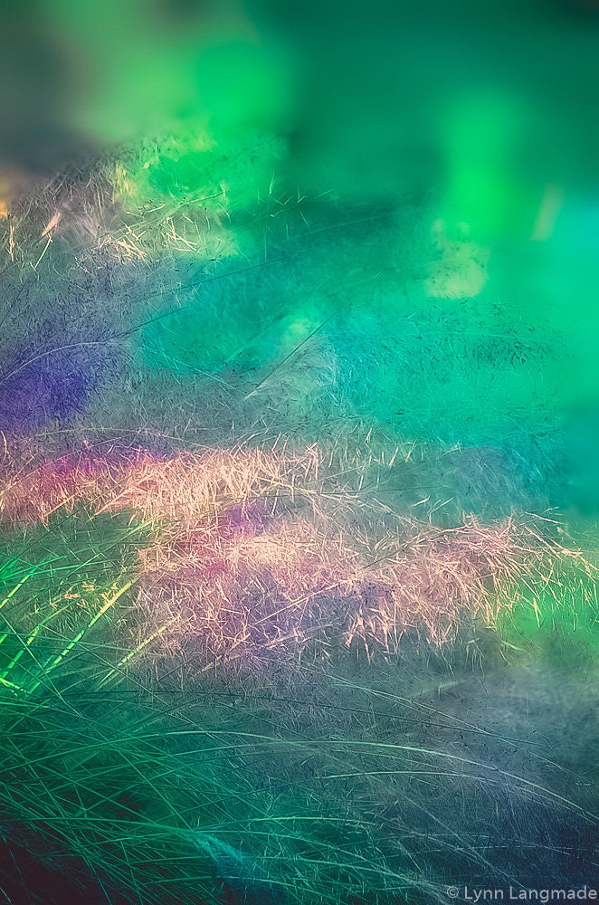 Nature Photography purple grass blue green pond 8x12 16x24 | Etsy