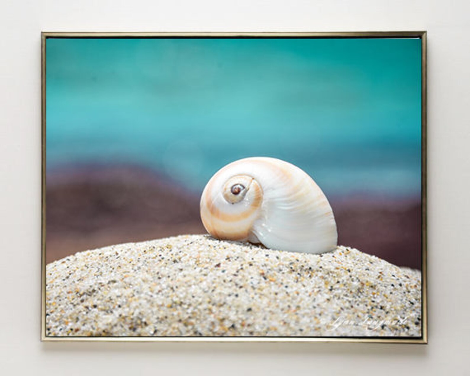 Seashell Wall Art Aqua Wall Art 20x30 White Shell 8x10 Photo | Etsy