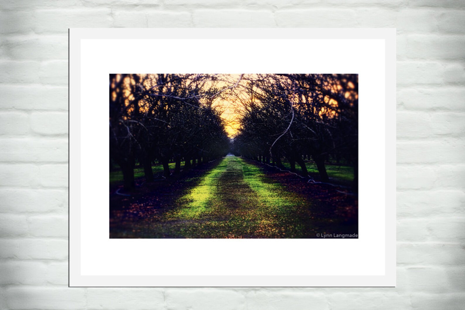 Landscape Photography Orchard Trees Nature Photography 8x10 | Etsy