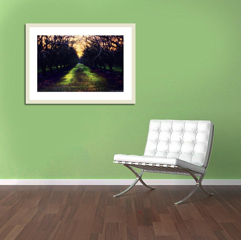 Landscape Photography Orchard Trees Nature Photography 8x10 - Etsy