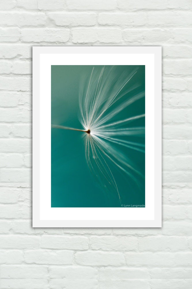 Teal Dandelion Art Dandelion Seed Teal Blue 8x12 Prints - Etsy