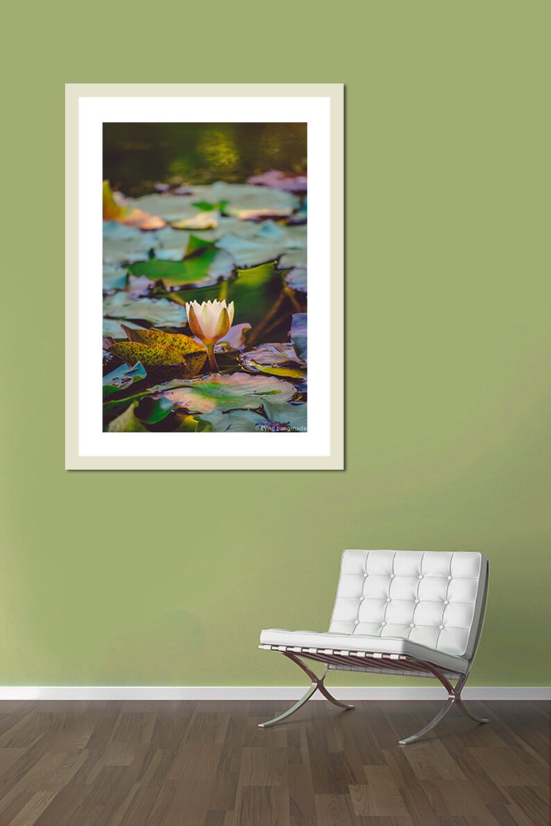 San Francisco Photography Water Lily Botanical Garden San - Etsy