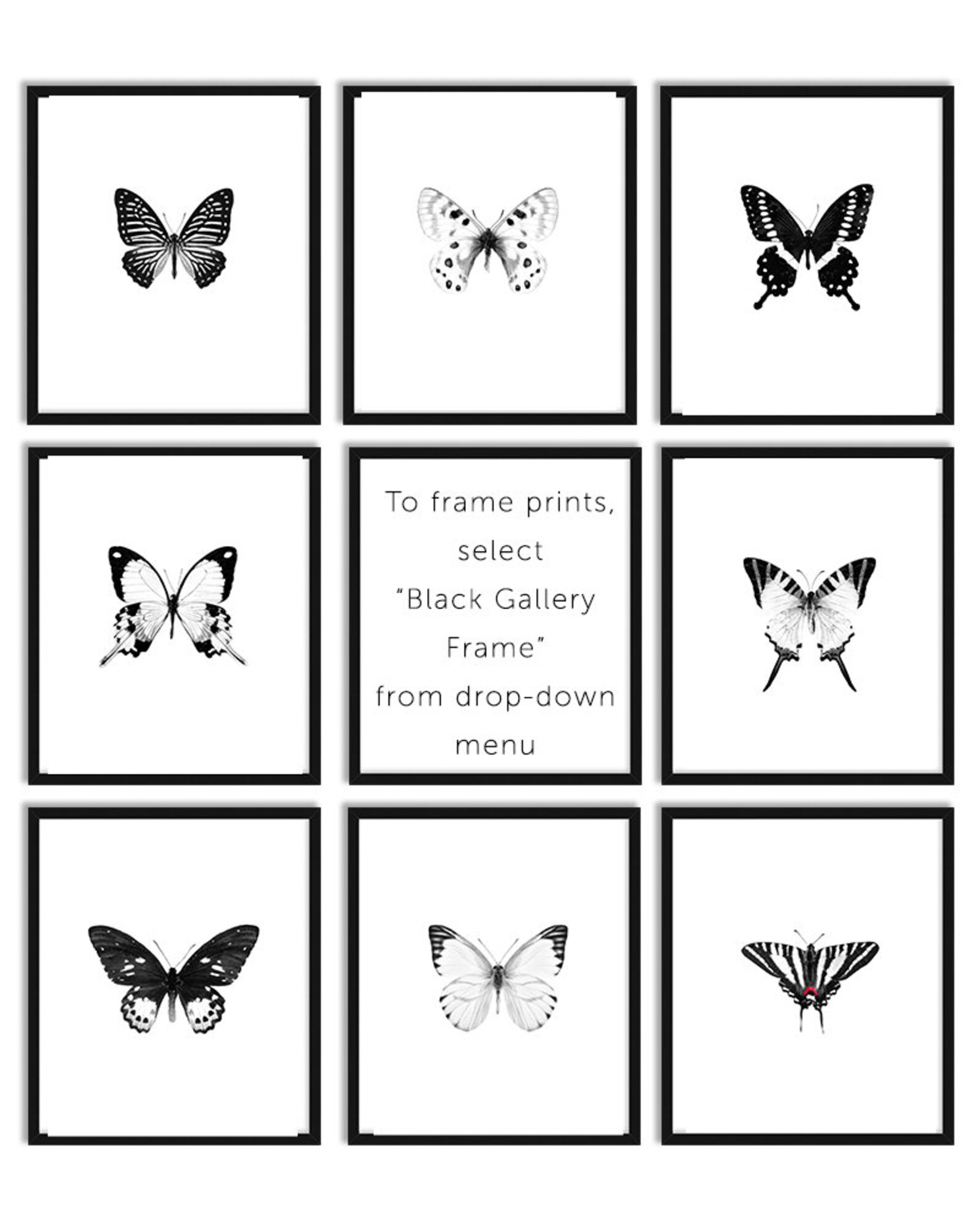 Butterfly Framed Art SET of 9 Black and White Butterfly Art - Etsy