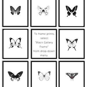 Butterfly Framed Art - SET of 9 Black and White Butterfly Art Prints ...