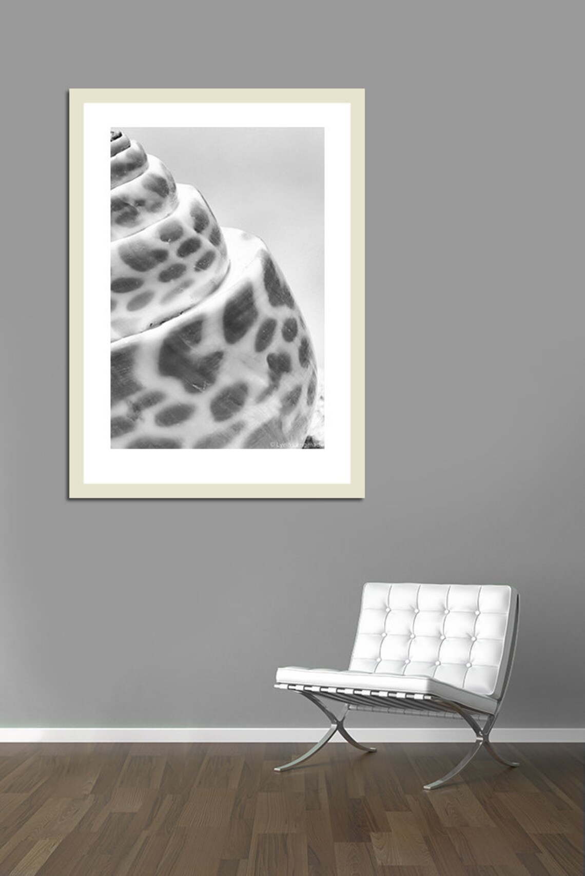 Shell Photography shell wall art black and white photography | Etsy