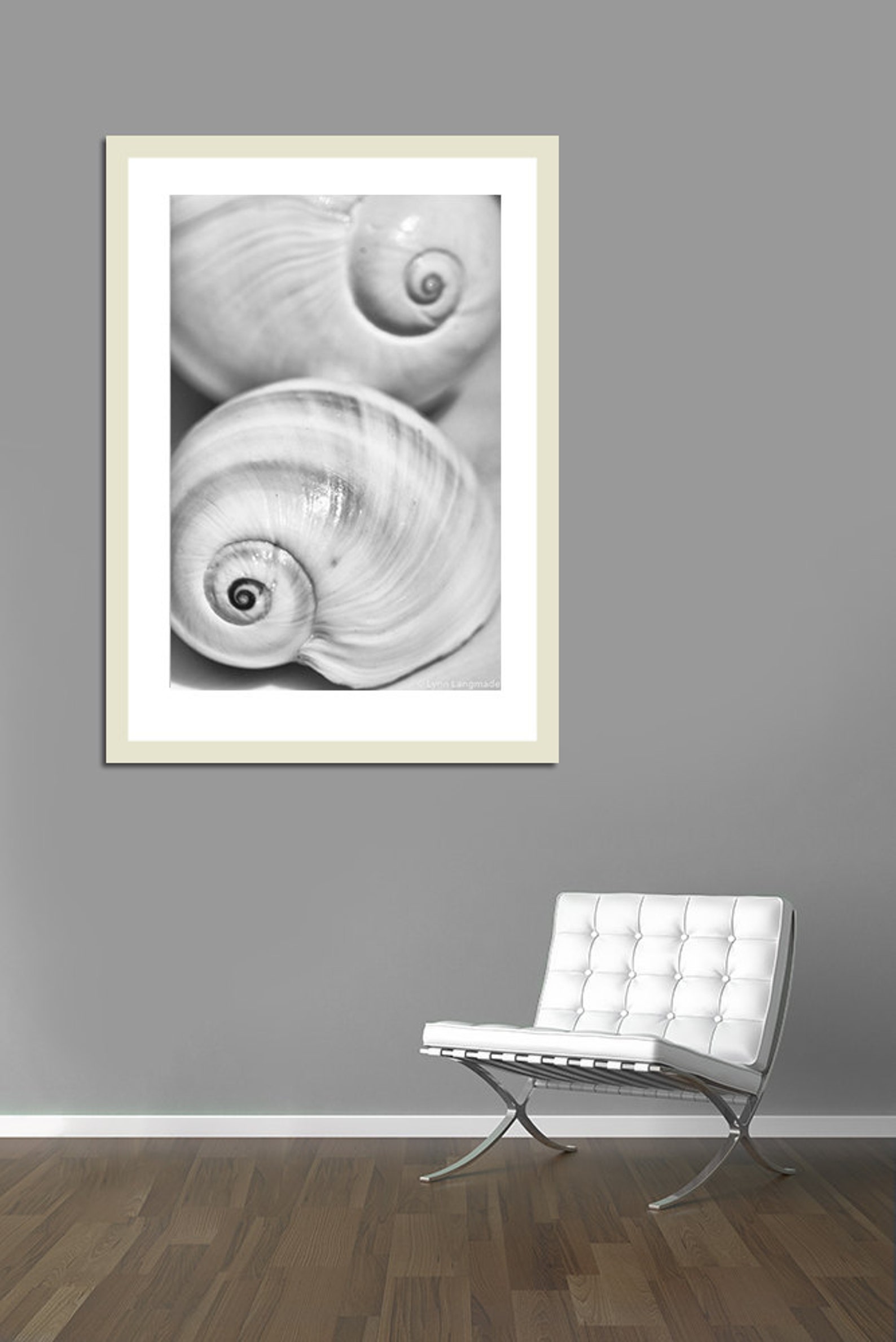 Seashell Art Black and White Beach Decor 5x7 8x10 Picture of | Etsy