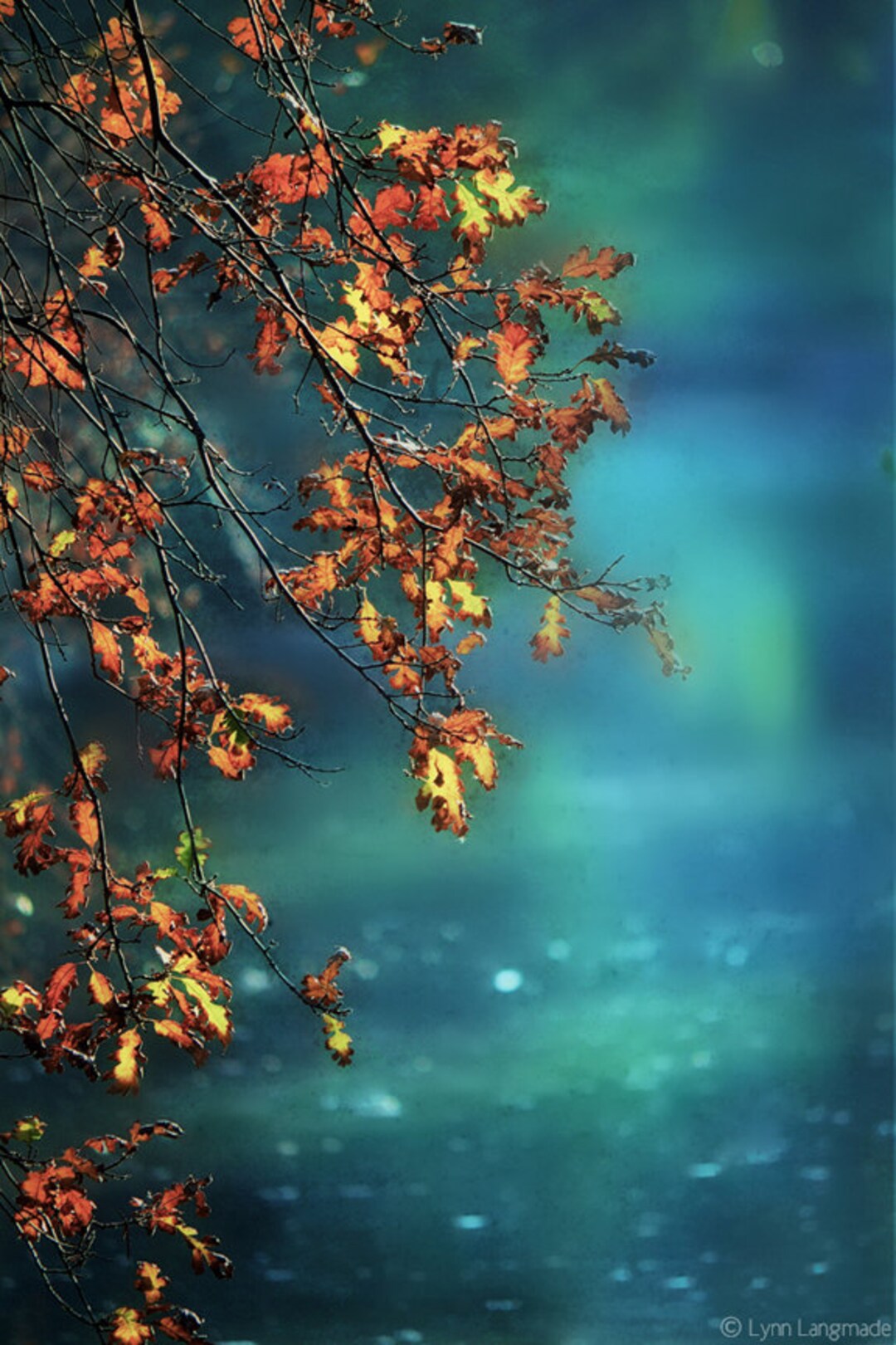 Fall Photography - Aqua Blue River Orange Autumn Leaves 8x12 16x24 Fall ...