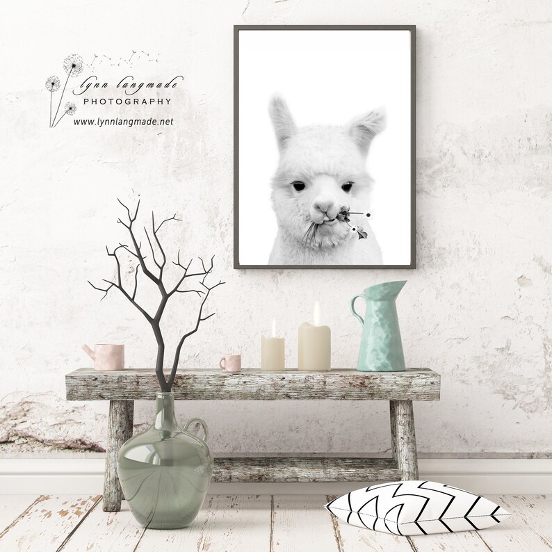 Alpaca Print Printable Llama Print in Black and White | Etsy