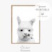 Alpaca Print Printable Llama Print in Black and White - Etsy