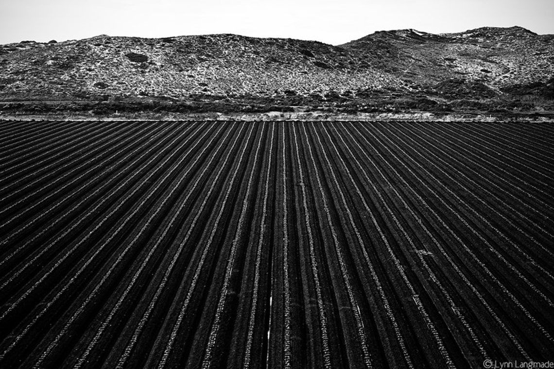 Black and White Photography Farm Field Harvest Landscape - Etsy