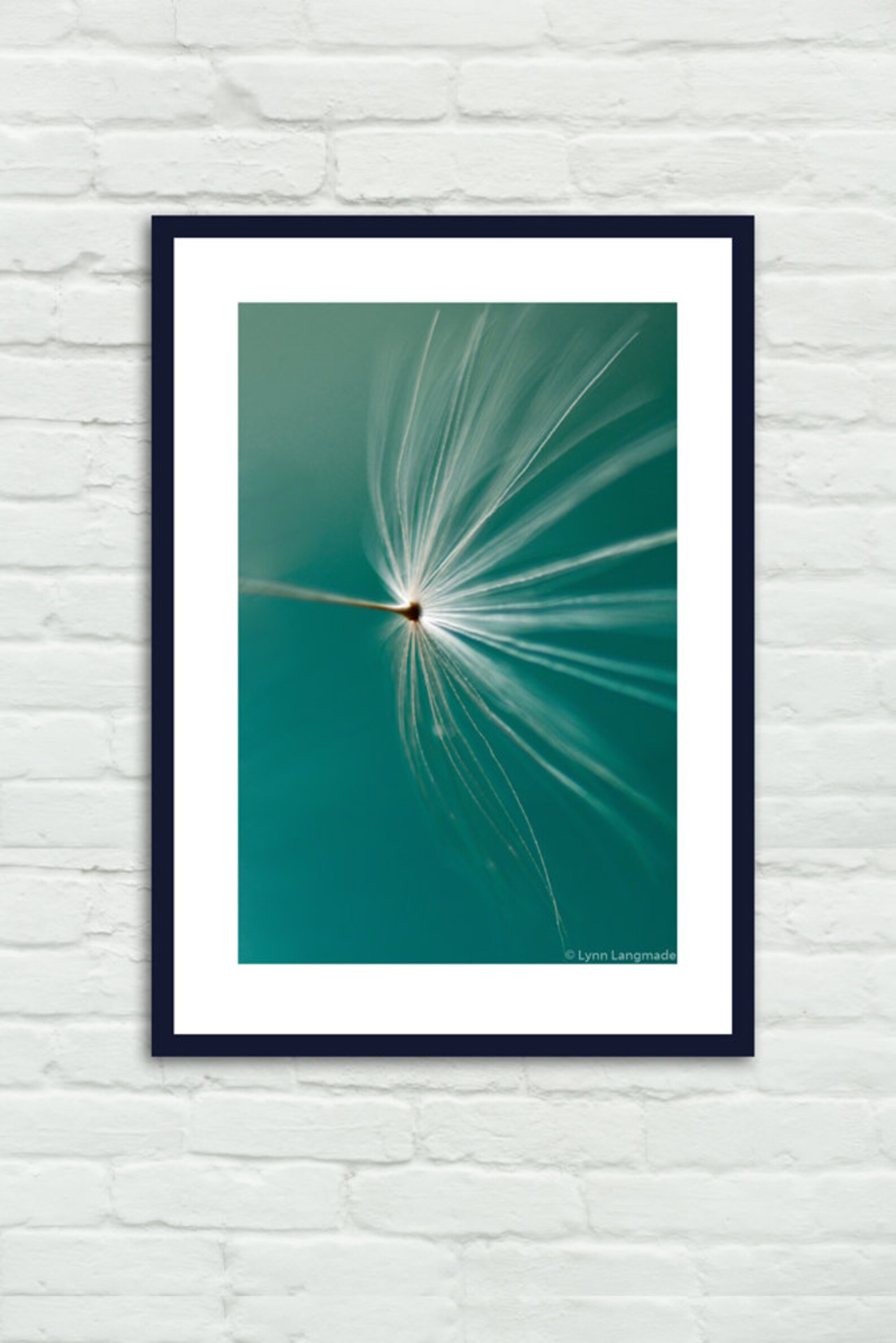 Teal Dandelion Art Dandelion Seed Teal Blue 8x12 Prints - Etsy