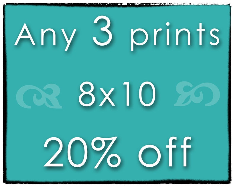 DISCOUNT PHOTO SET Any 3 Prints Three 8x10 Photographs of | Etsy