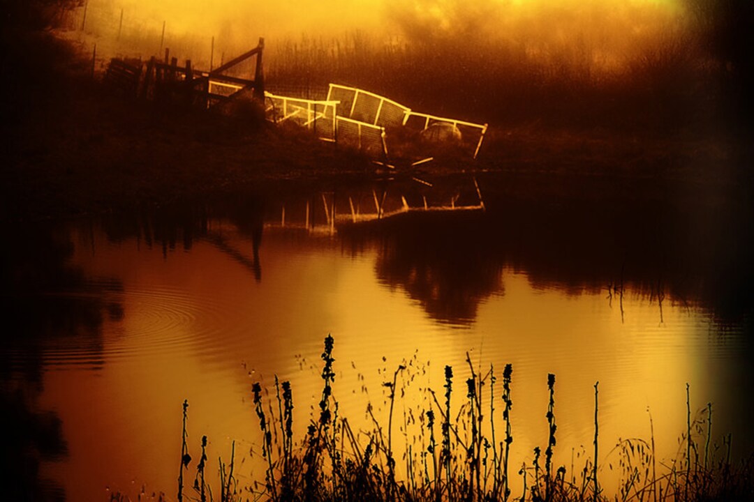 Landscape Photography Lake With Gold Light 8x10 Photo Dawn Wall Decor ...
