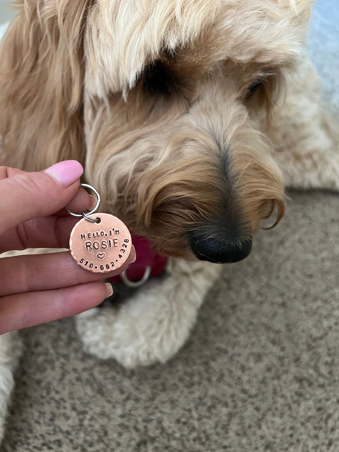 Dog ID Tag, Dog Name Tag, Dog Tag Personalized, Dog Tag, Custom Dog Tag ...