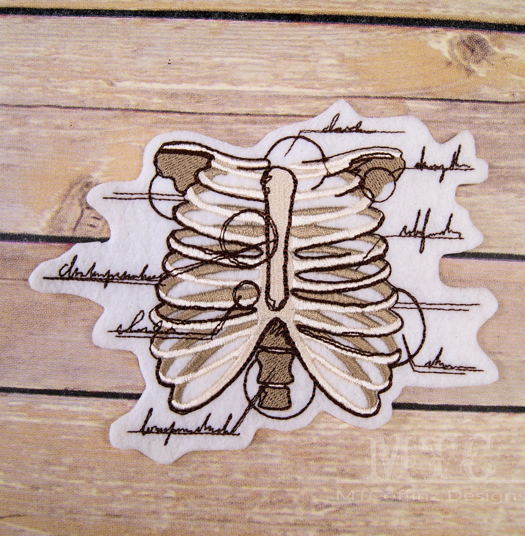 Ribcage Patch Anatomical Ribcage Medical Journal Patch Sketch Notes ...