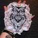 Serious Barn Owl Iron on Embroidery Patch Mtcoffinz- Choose Size - Etsy