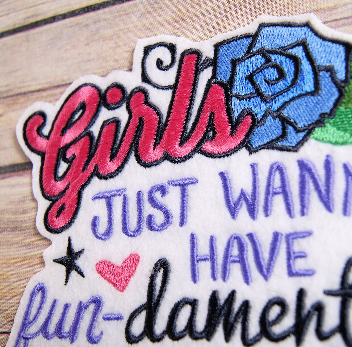 Girls Just Wanna Have Fun Damental Human Rights Iron On Embroidery