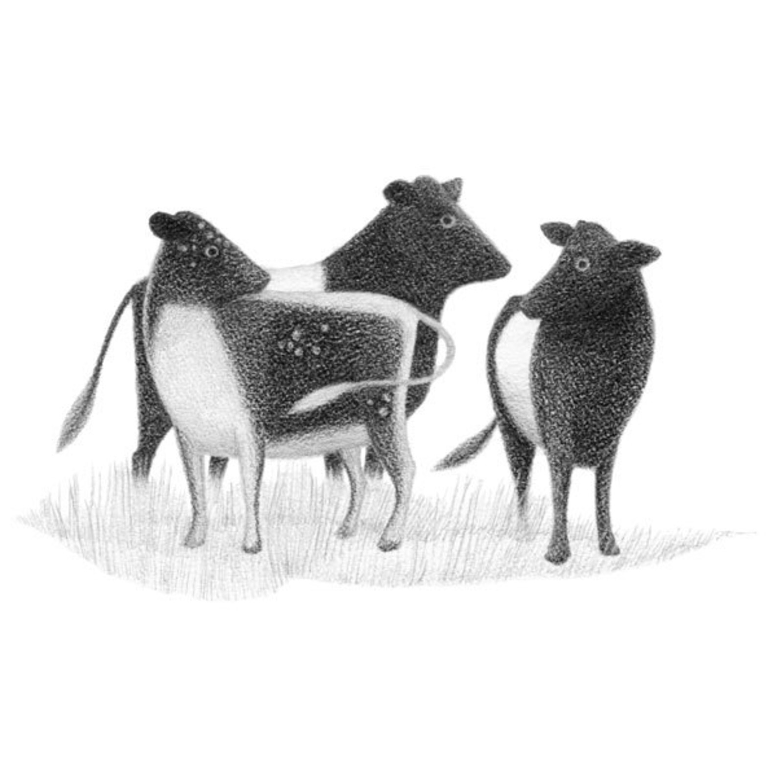 Three Cows - 4x6 Print - Etsy