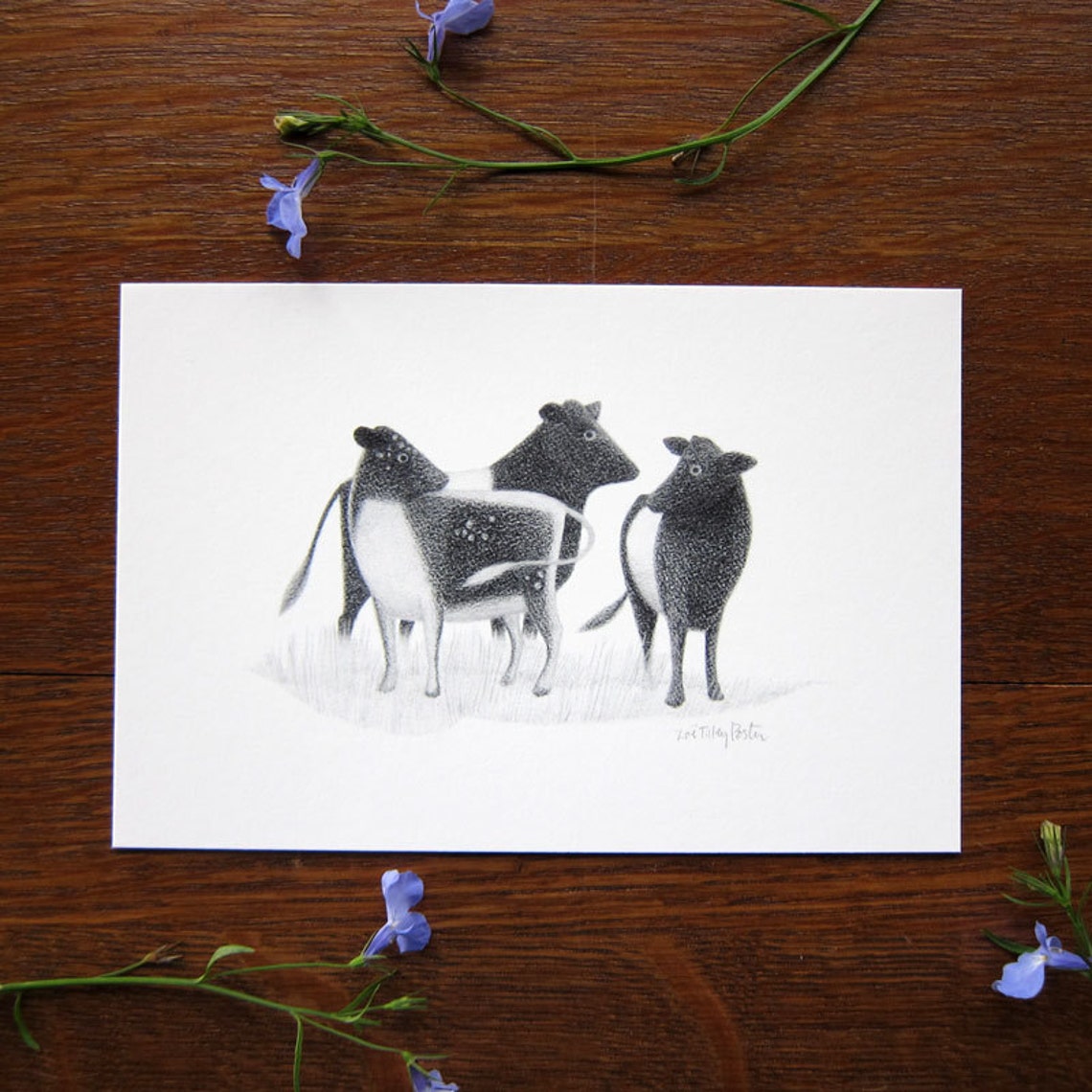 Three Cows - 4x6 Print - Etsy