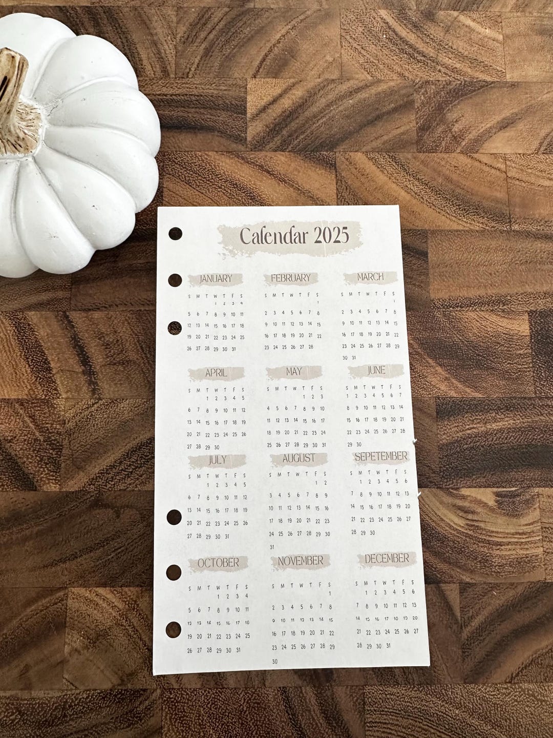2025 Yearly Vellum Planner Dashboard, Year at a Glance, Minimal Vellum ...