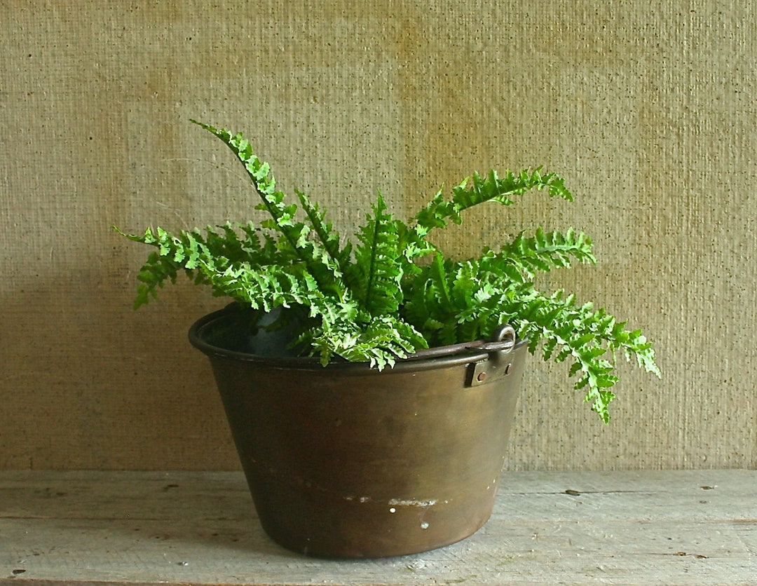 FIREPLACE HEARTH BUCKET / Hand Forged / Iron Handle / Primitive ...