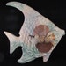 Vintage Fish Wall Art With Shells - Etsy