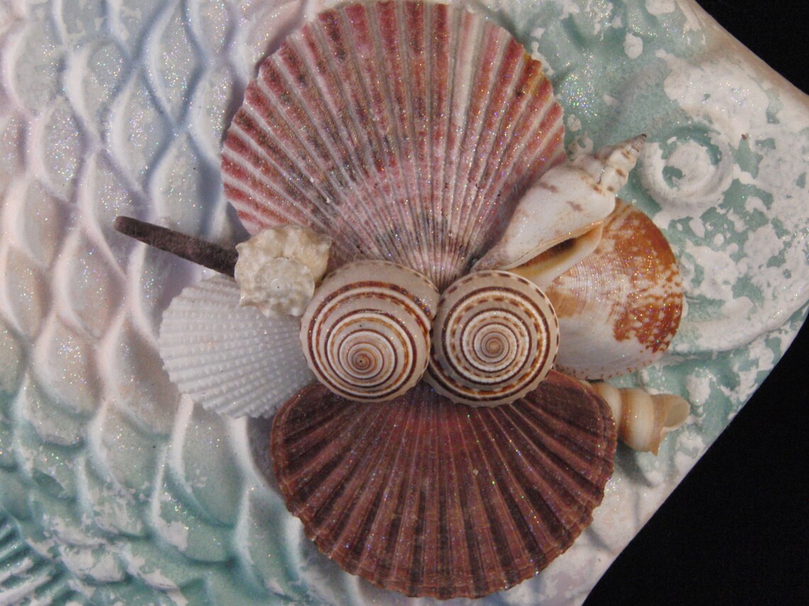 Vintage Fish Wall Art With Shells - Etsy