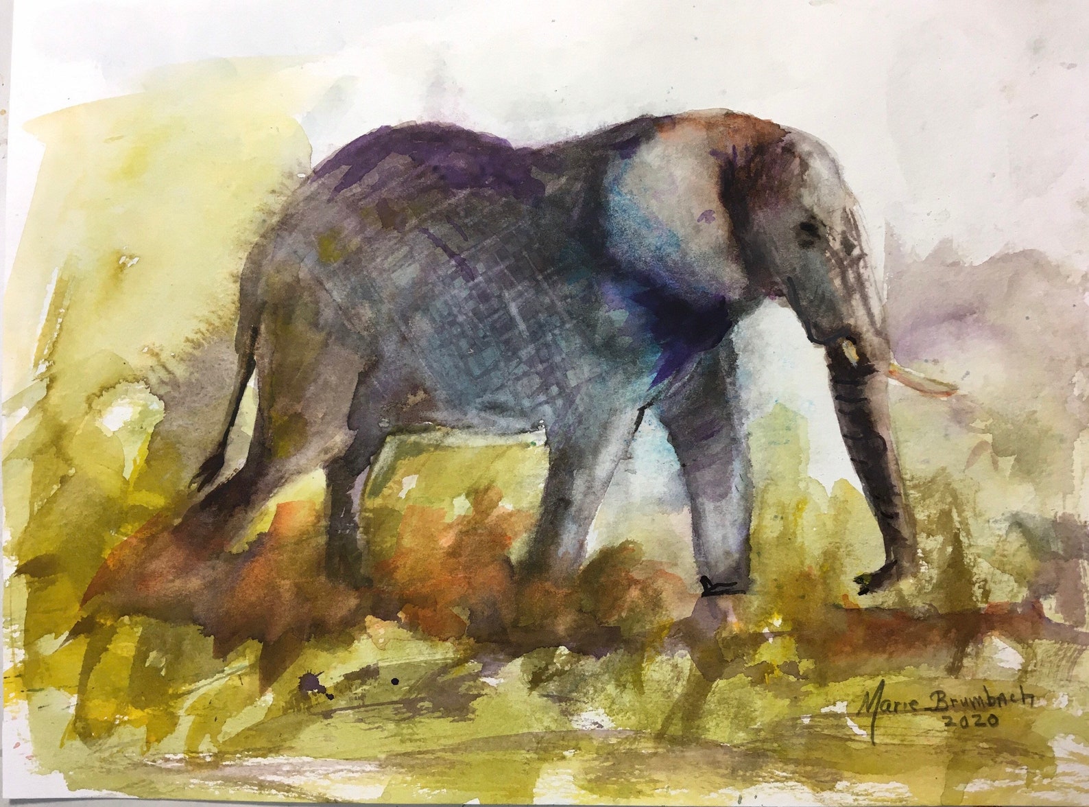 Original Baby Elephant Watercolor Painting Original Wildlife | Etsy