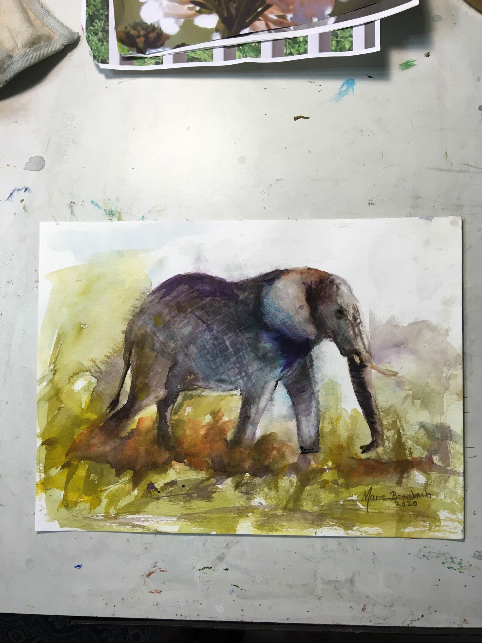 Original baby elephant watercolor painting original wildlife | Etsy