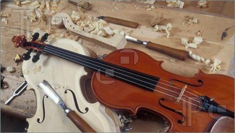 Violin Making Maker Rare Violins 30 Books CD Fiddle Cremona Italian ...