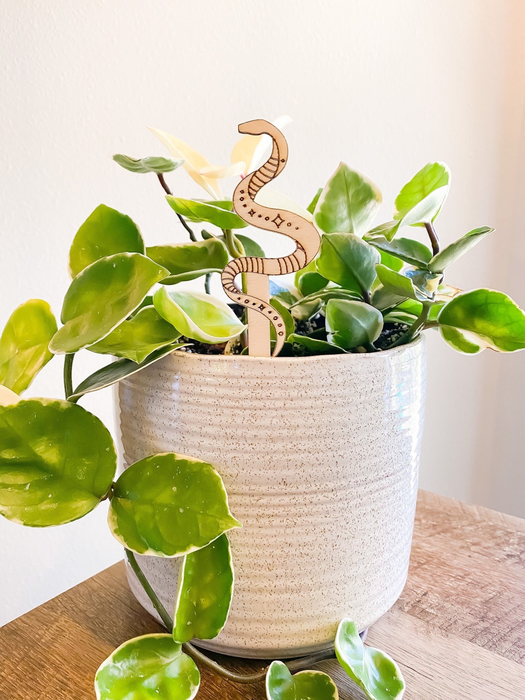 Snake Charmer Plant Stake SVG Cutout File - Etsy