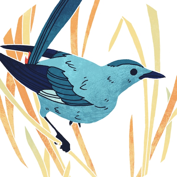 Catbird - Etsy