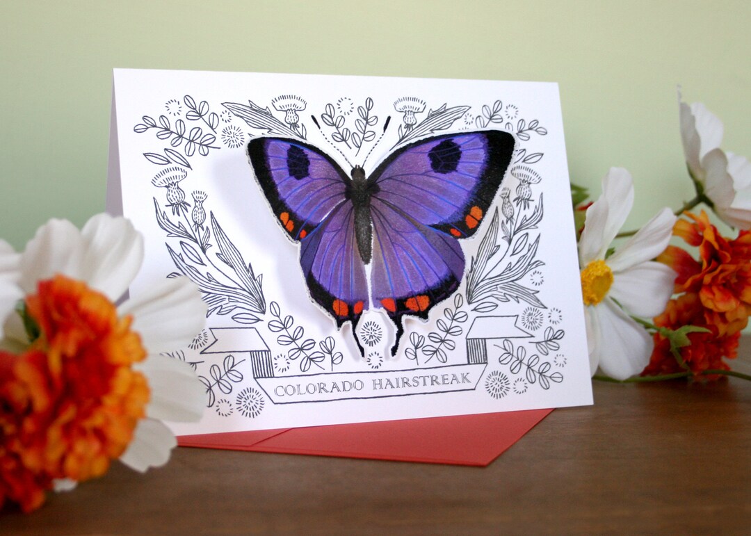 3D Colorado Hairstreak Butterfly Notecard - Blank Stationary - Etsy