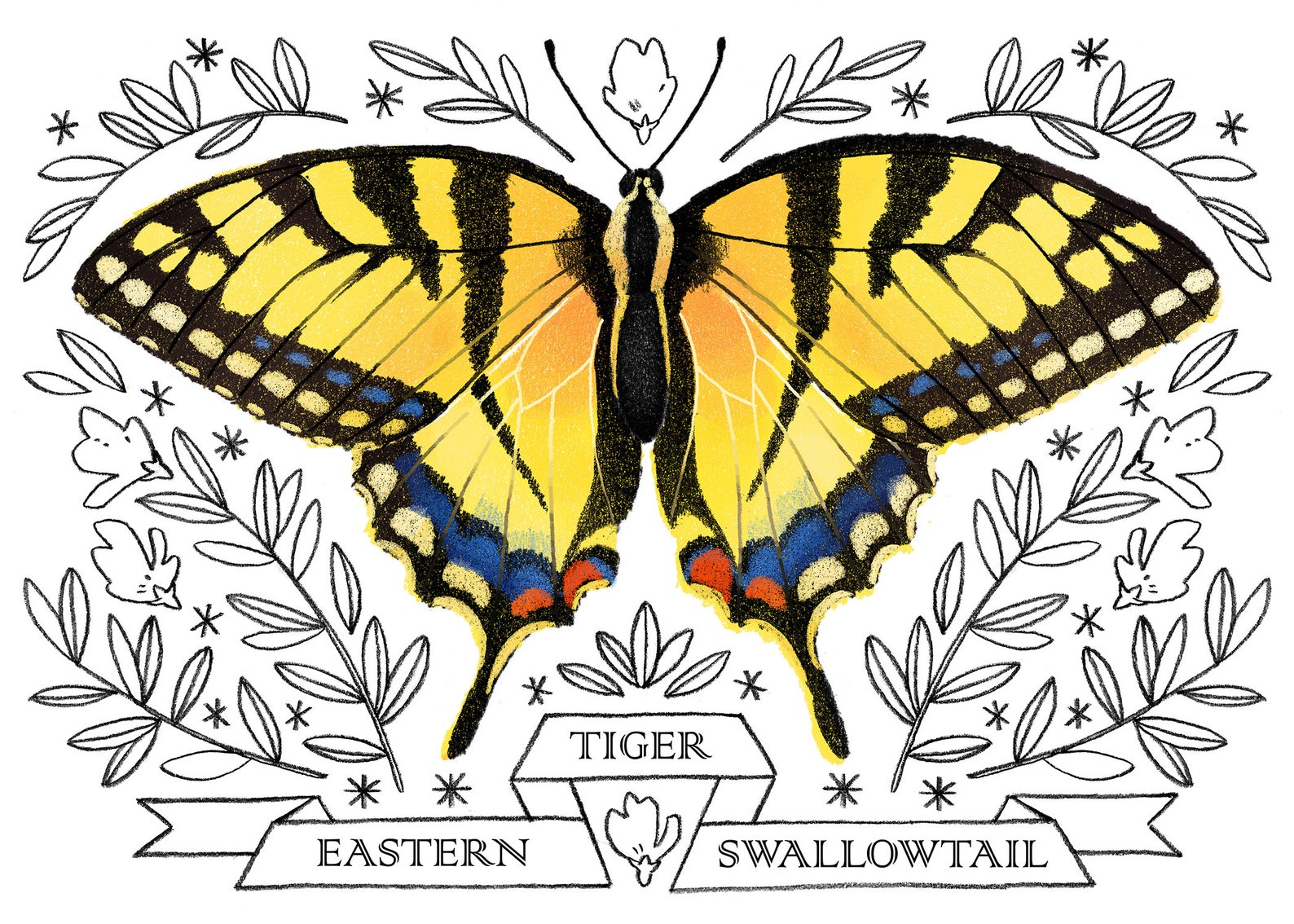 Butterfly Greeting Card Eastern Tiger Swallowtail - Etsy