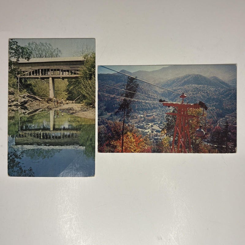 Pigeon Postcards - Etsy