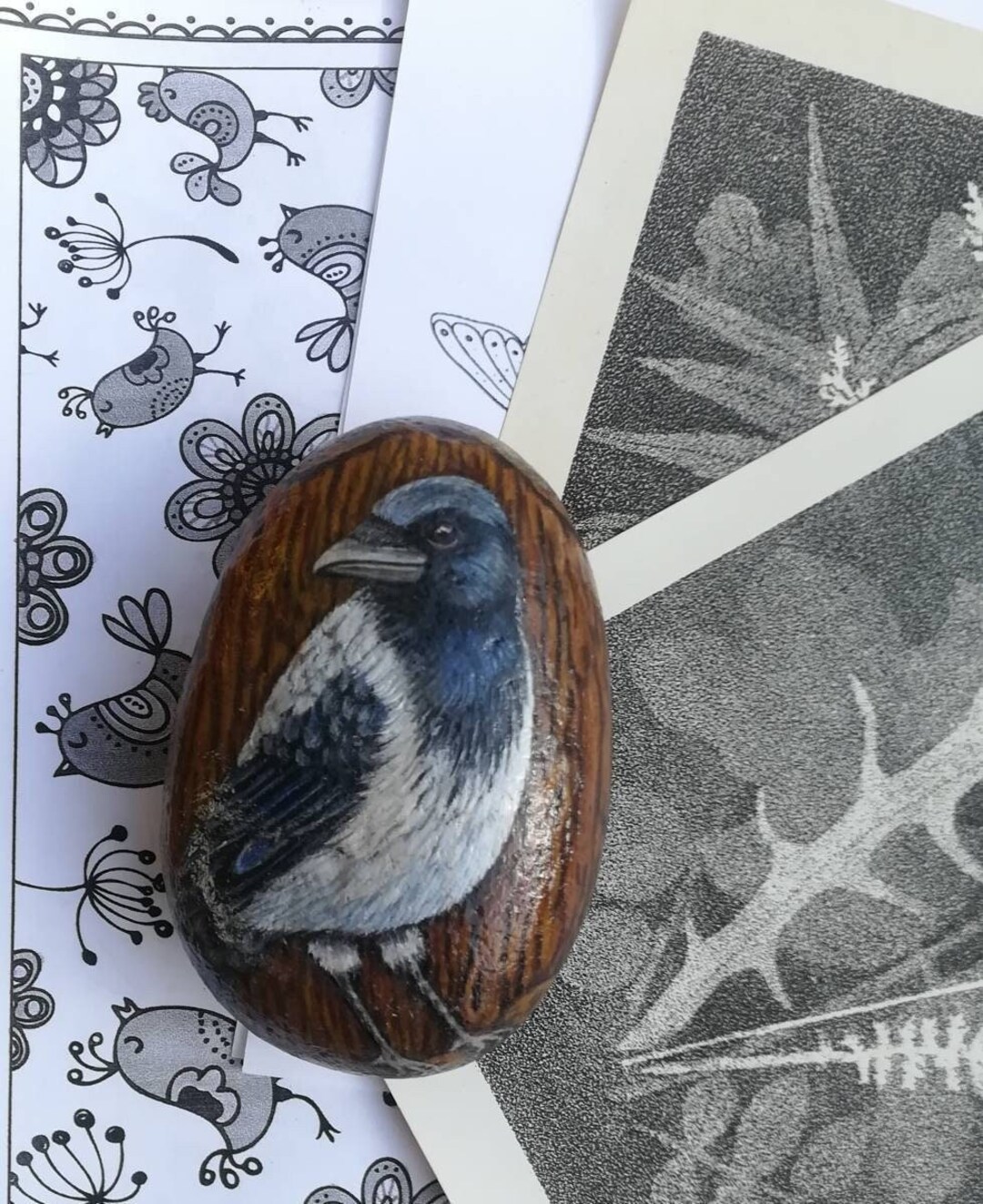 Sasso Dipinto ,cornacchia Grigia Corvo .sasso Double Face Corvo E ...