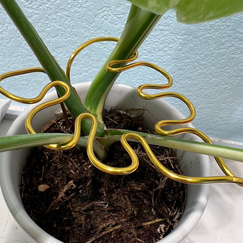 Plant Support - Etsy