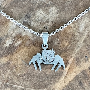 Jumping Spider Necklace Spood Lover Pet Keepsake Memorial Gift Tribute ...