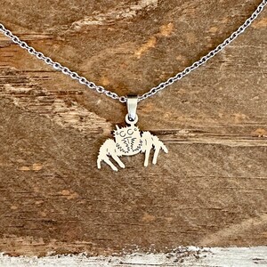 Jumping Spider Necklace Spood Lover Pet Keepsake Memorial Gift Tribute ...