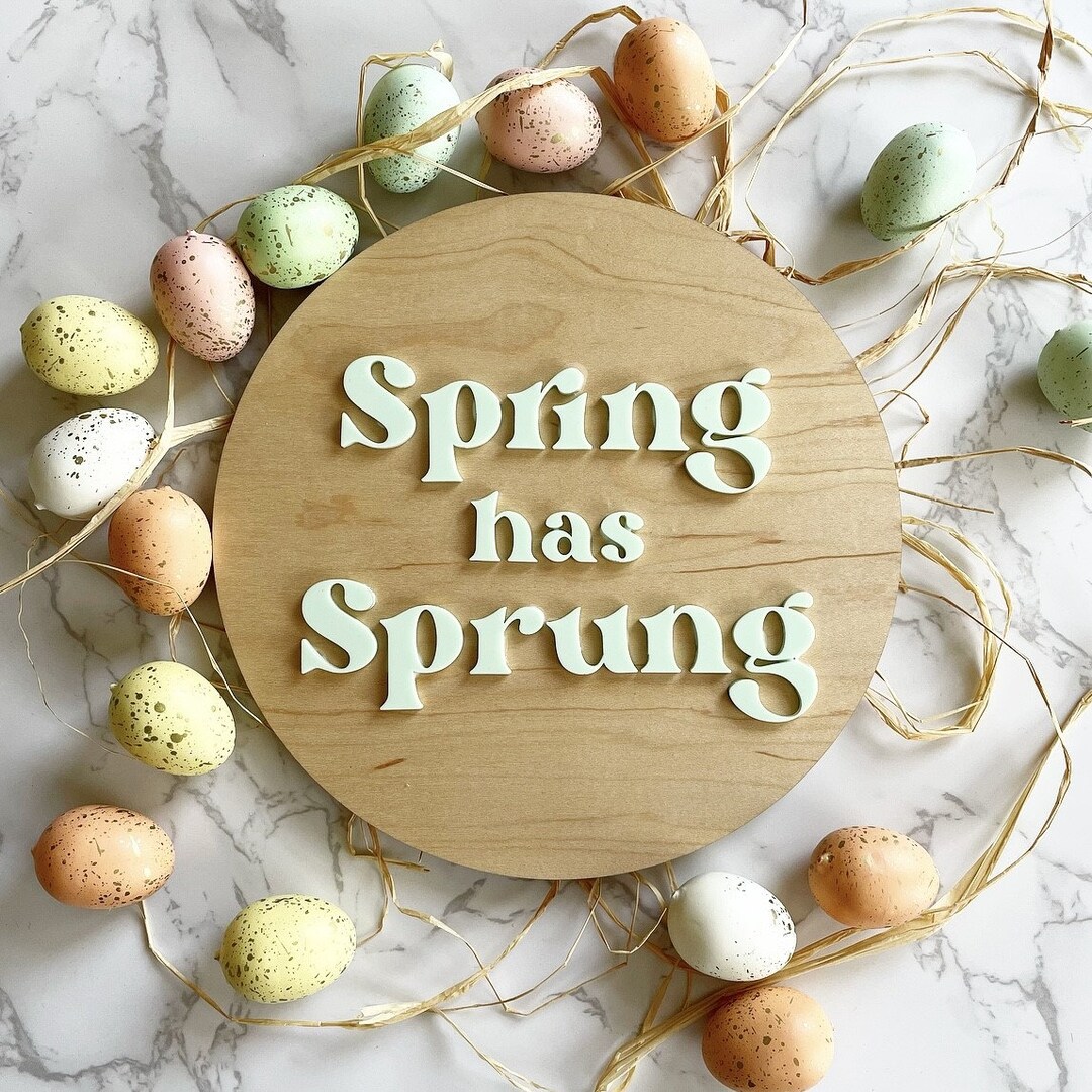 Easter Round Sign - Spring Has Sprung , Easter Decor, 3D Round - Etsy