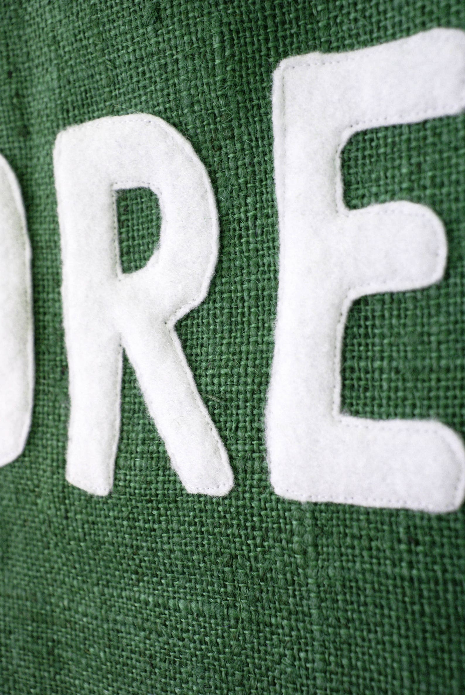 EXPLORE Wall Mural 24x38 Wanderlust Banner Mountain Tapestry Cabin Wall ...