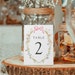 Wildflower Baby Girl Table Number Sign Floral Pink Bow Baby Shower ...