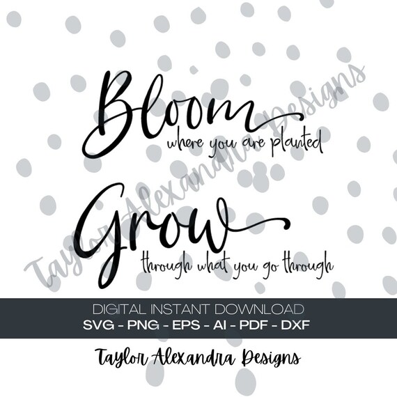 Bloom and Grow Digital Download Bundle SVG Cricut | Etsy