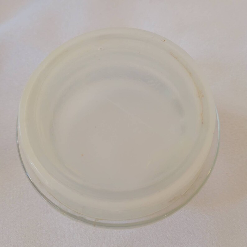 Anchor Hocking Blue Ribbon Country Geese Goose Glass - Etsy