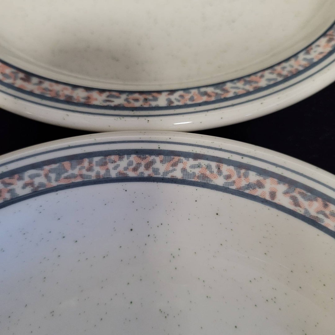Set of 4 Buffalo China Restaurant Ware Salad Plates-blue & Pink ...