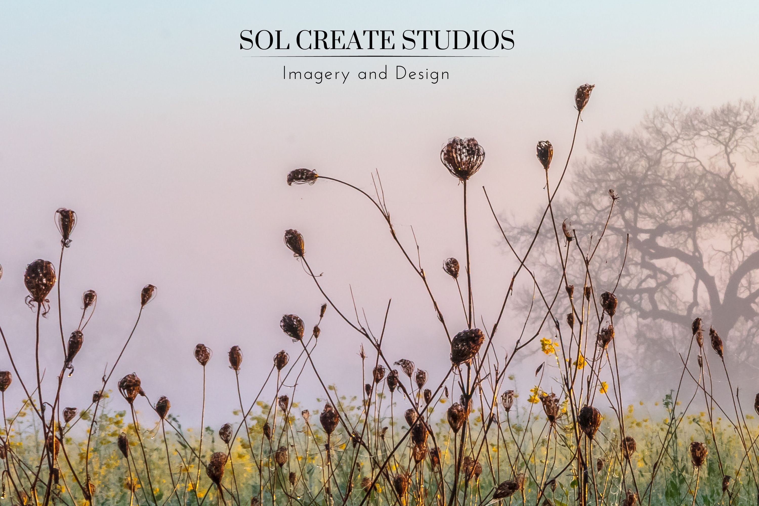 Pastel Country Morning | Cottagecore Photo, Digital Art Print, Country ...
