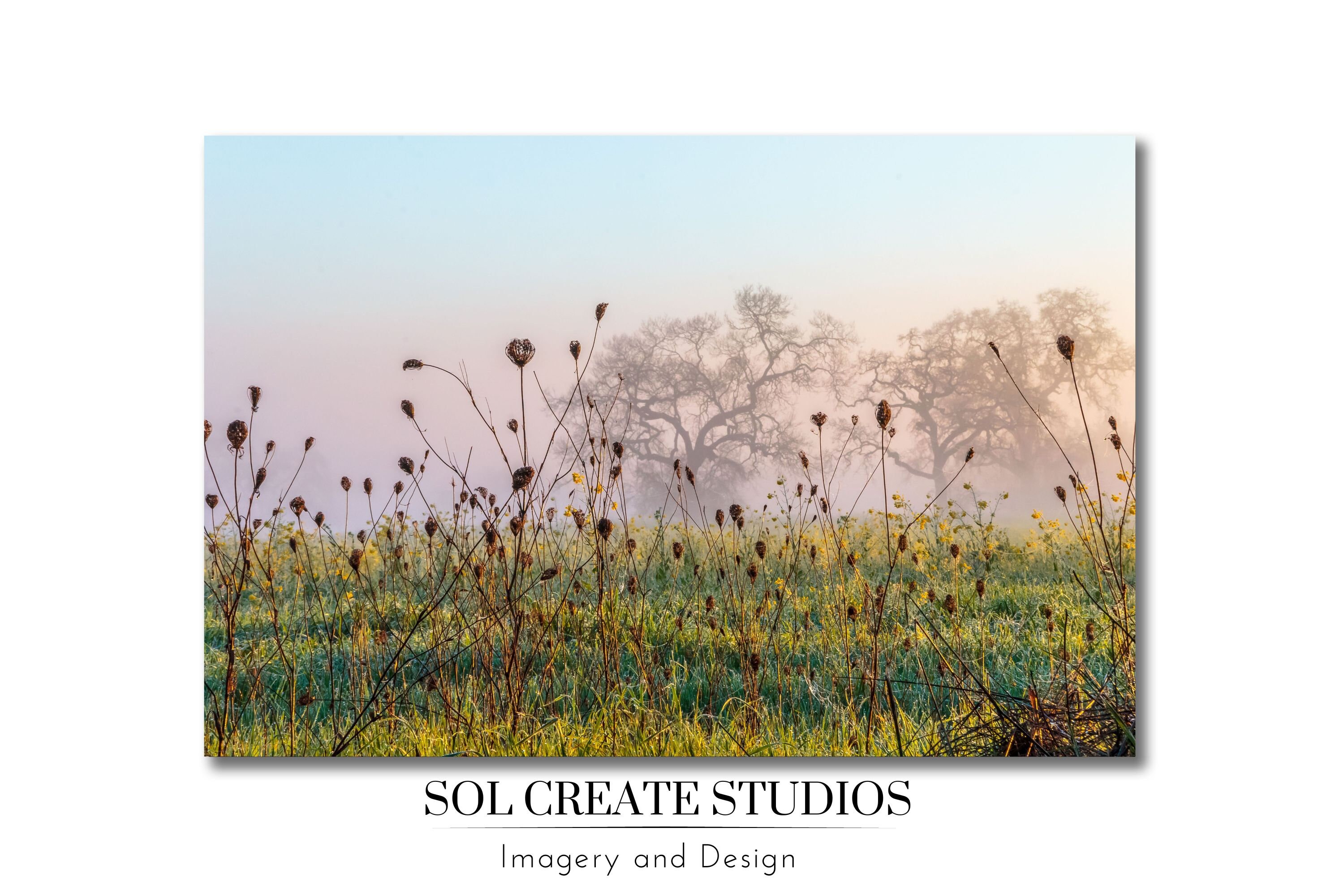 Pastel Country Morning | Cottagecore Photo, Digital Art Print, Country ...