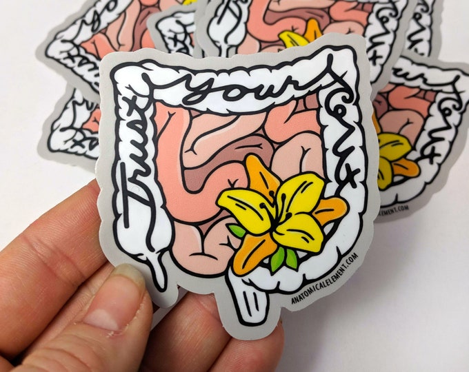 TRUST YOUR GUT Anatomical Intestines Vinyl Die-cut Sticker - Etsy